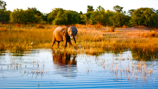 isiNdebele for beginners. Northern Ndebele language in Africa ...