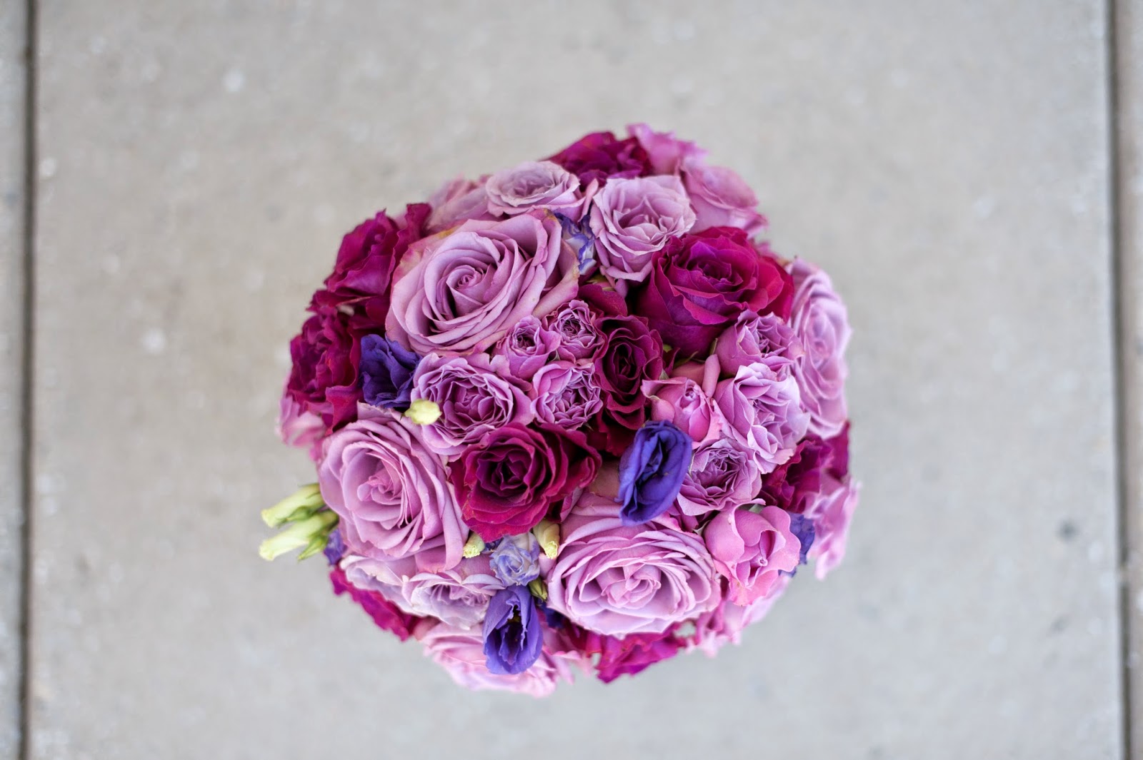 STUDIO DBI: It's Fall - Purple With It