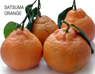 Anim Agro Technology: JENIS-JENIS LIMAU MANDARIN (Part 3)