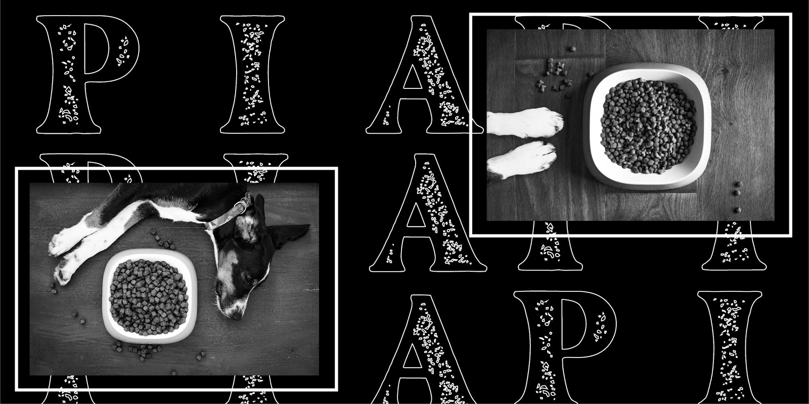 PIA – Packaging Of The World