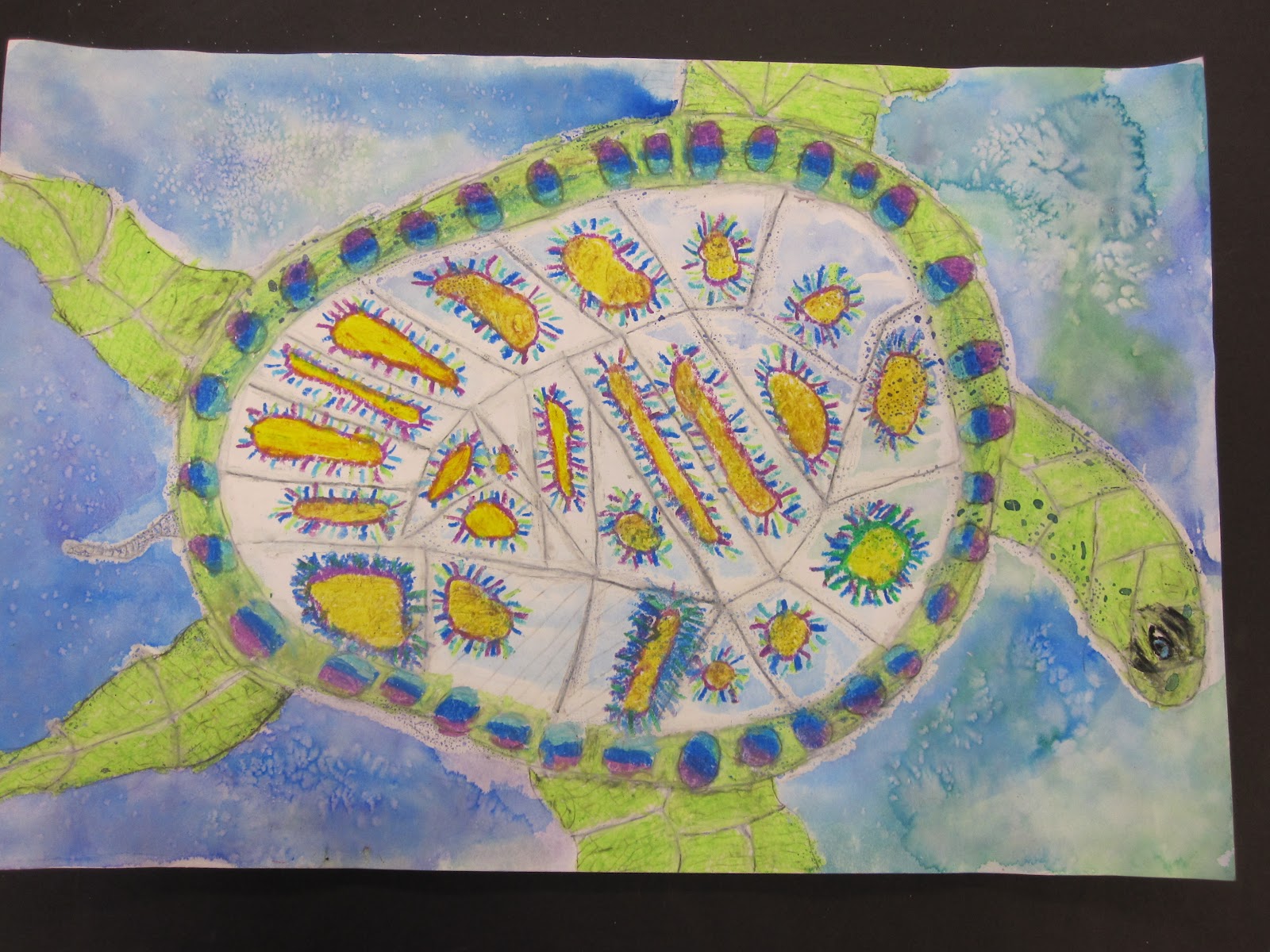 Lake and Hartville Elementary Art: Sea Turtles