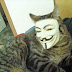 Cats Rule This World: Anonymous Cat