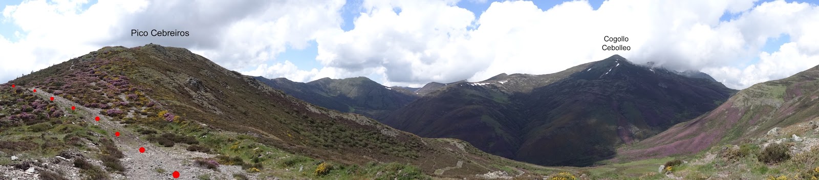 Pico Cogollo Cebolledo