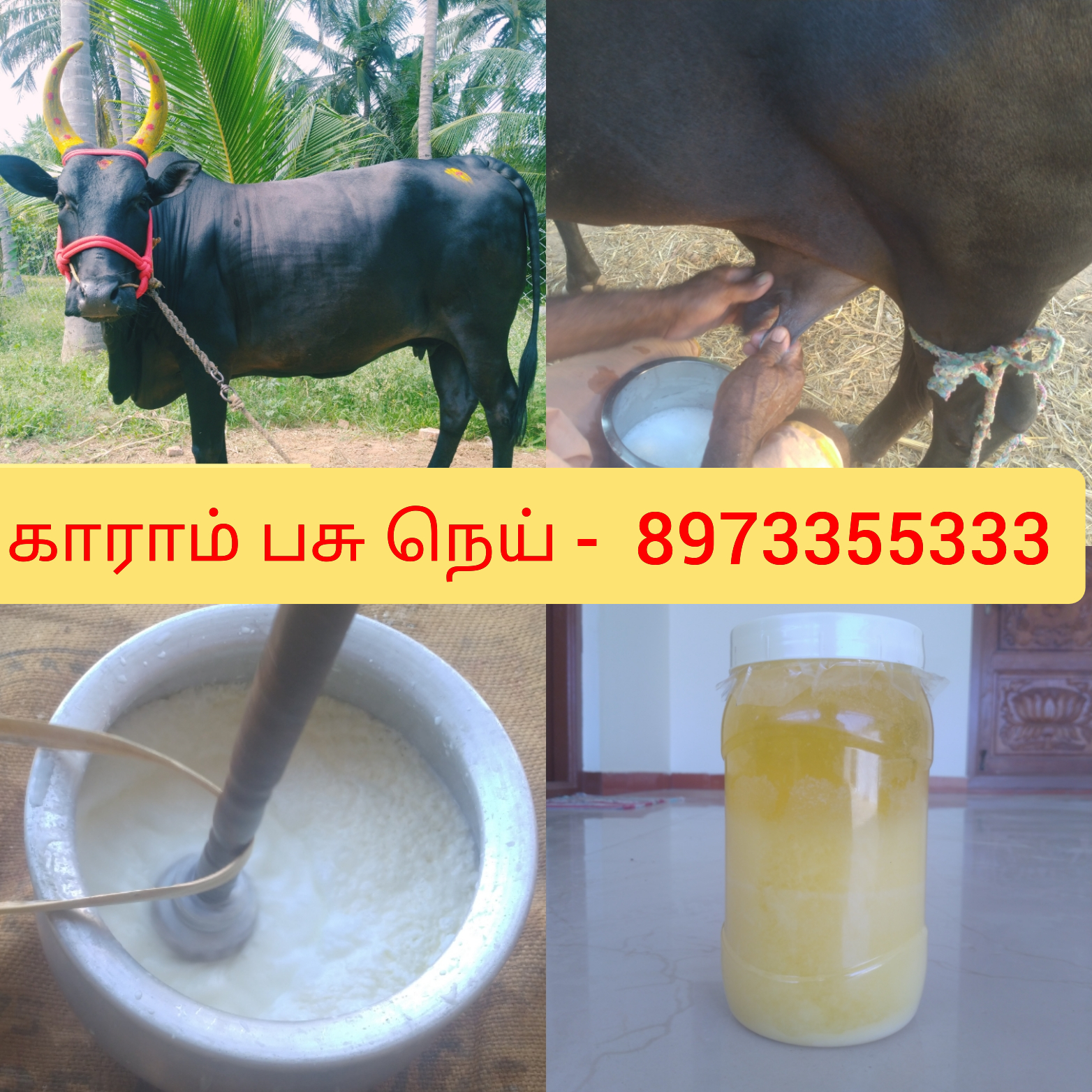 Karam Pasu Ghee | காராம் பசு நெய் | 8973355333 | A2 Ghee
