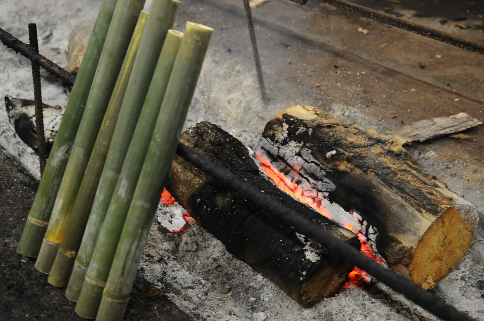 Creating Wonder - the Petrosains Blog: Kenapa lemang di dalam buluh?