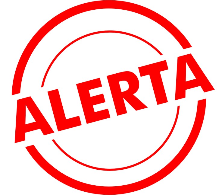 SIGNOS DE ALERTA EN EL DESARROLLO DEL LENGUAJE