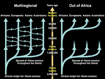 loving Anthropology: Where do anthropologists think different races ...