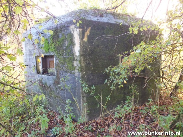 BUNKERINFO - Bunkers, Info, Foto's, Locaties en Meer!!!: Grebbelinie rondom Scherpenzeel