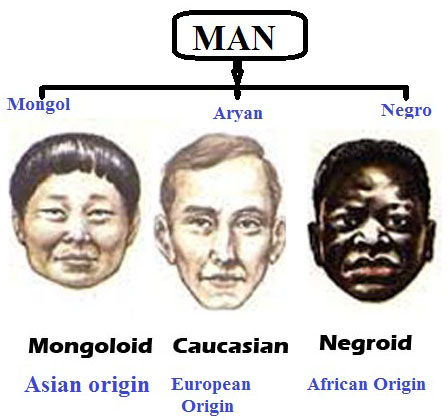 Jiban Mongol : How many races are there in the world