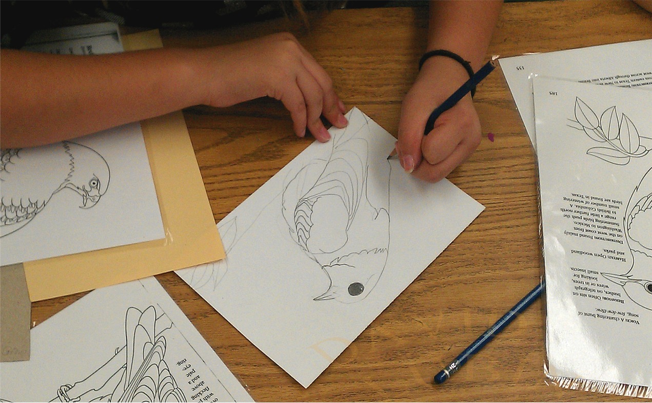 The David Lubin Art Studio: Bird Prints