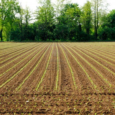 Zoe A's 9th Grade SS Blog: Personal Dictionary: Semester 1