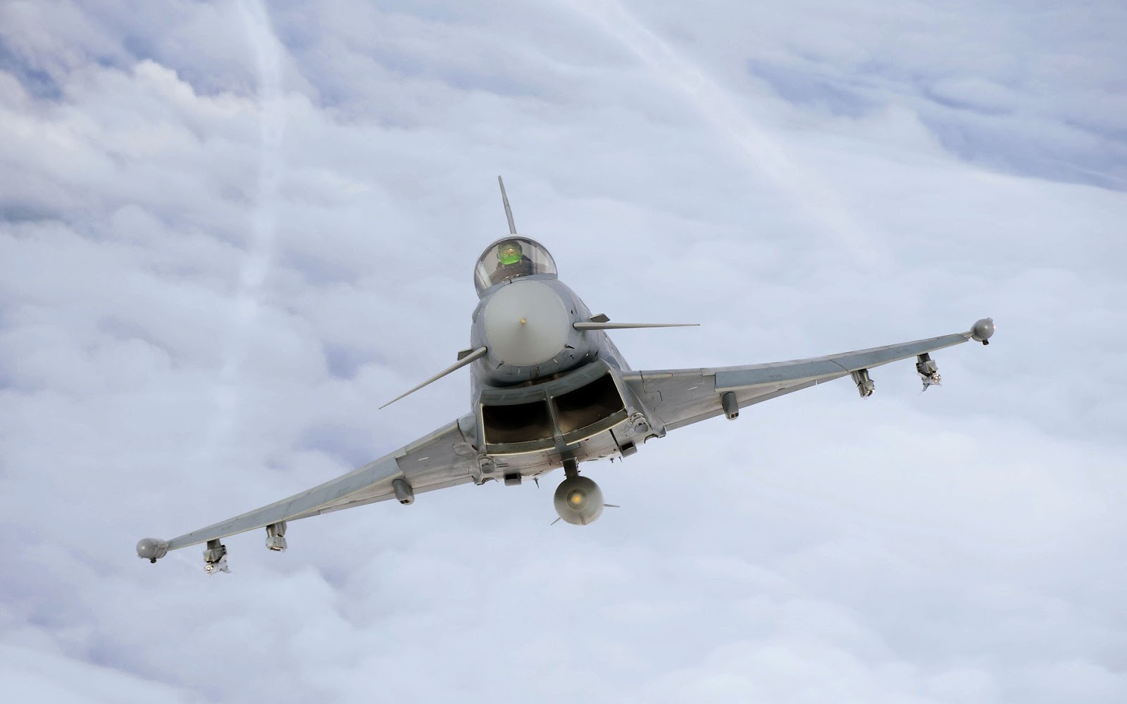Defensa y Armas: Eurofighter Typhoon