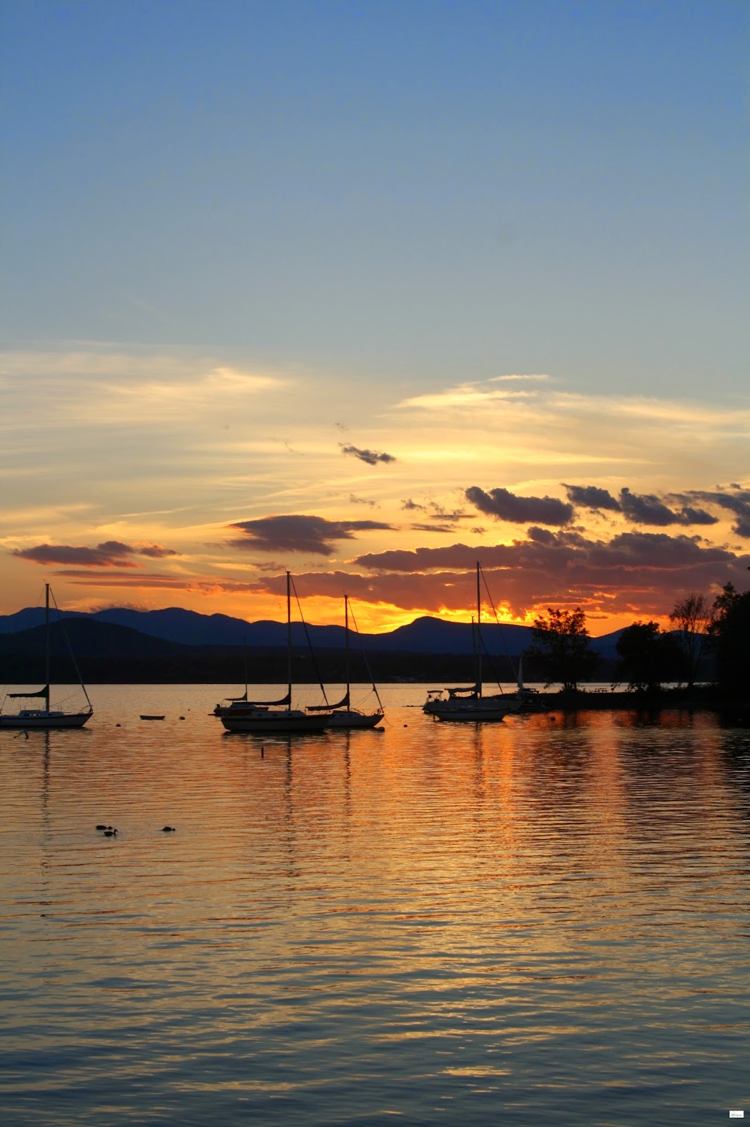 Shelburne, Vermont Sunset | Caravan Sonnet