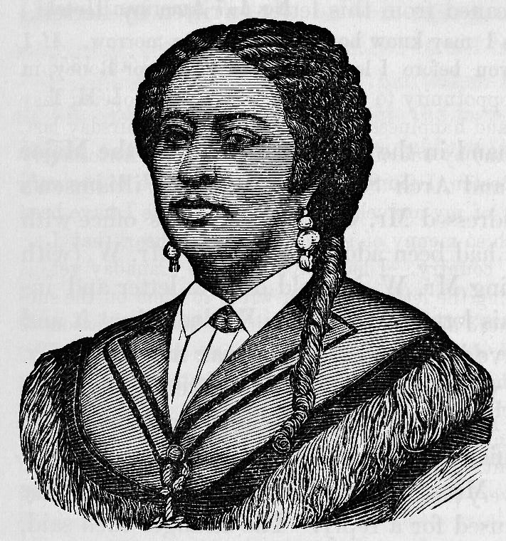 Civil War Quilts: Freedom's Friends #6: Mary Millburn's Canada Lily