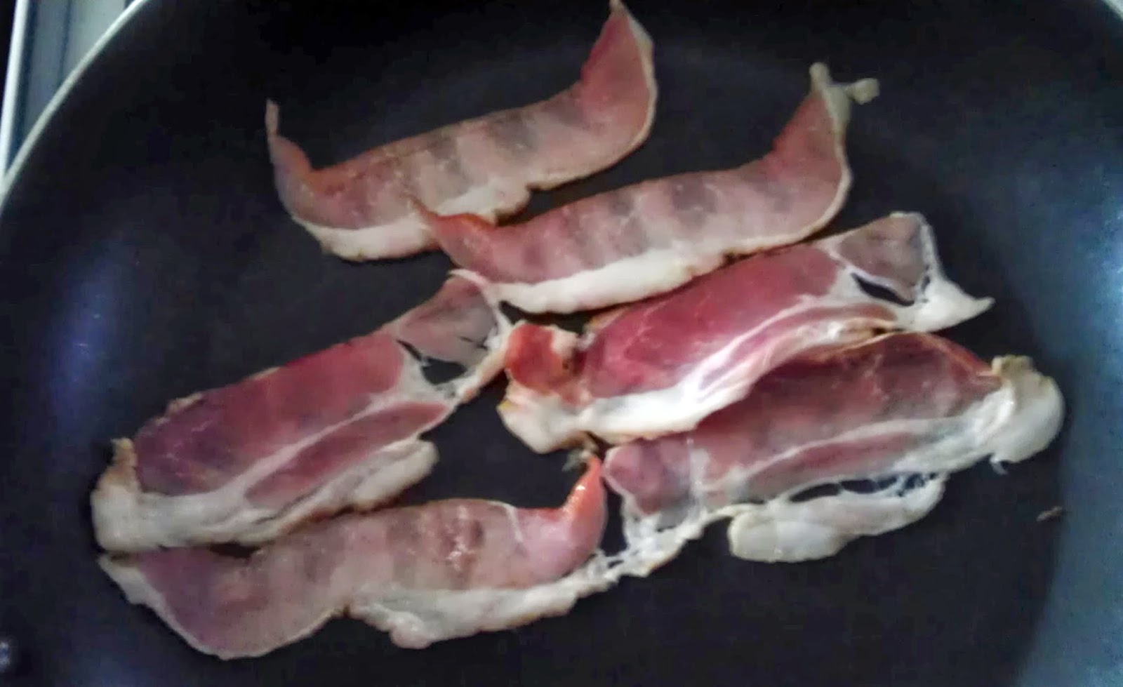 Reticulated Writer: Stop fakin' my bacon