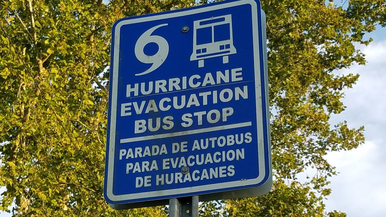 Best Friends of Lowcountry Transit: Hurricane Evacuation Bus Service