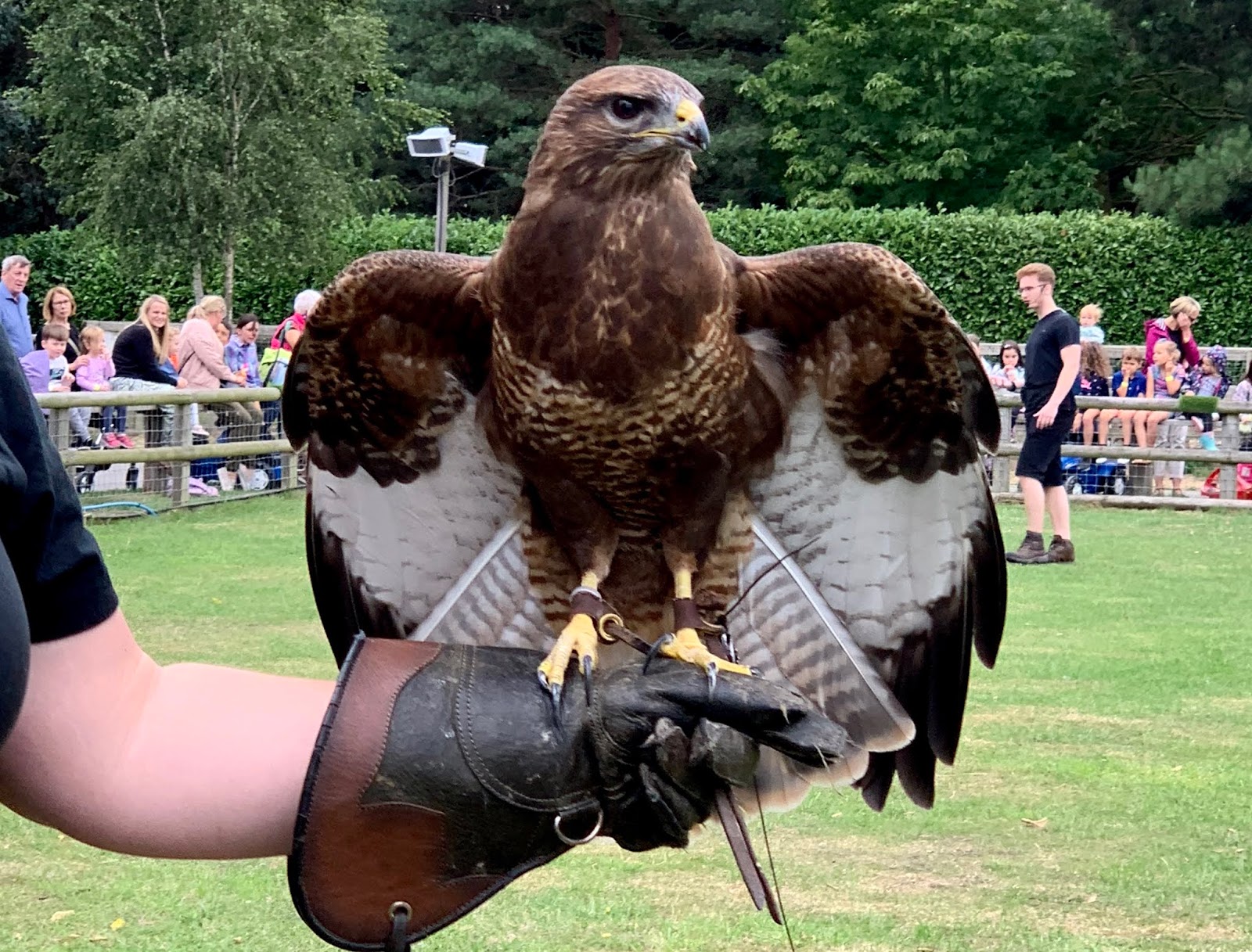 Review: Barleylands Farm Park, Billericay Essex - Counting To Ten