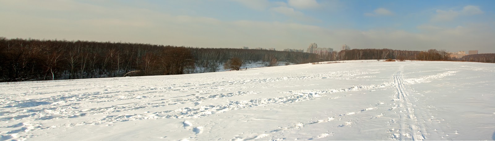 Three years in Moscow: Bittsevsky Park