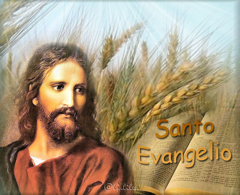 ® Santoral Católico ®: EL EVANGELIO DE HOY SÁBADO 16 SEPTIEMBRE 2017