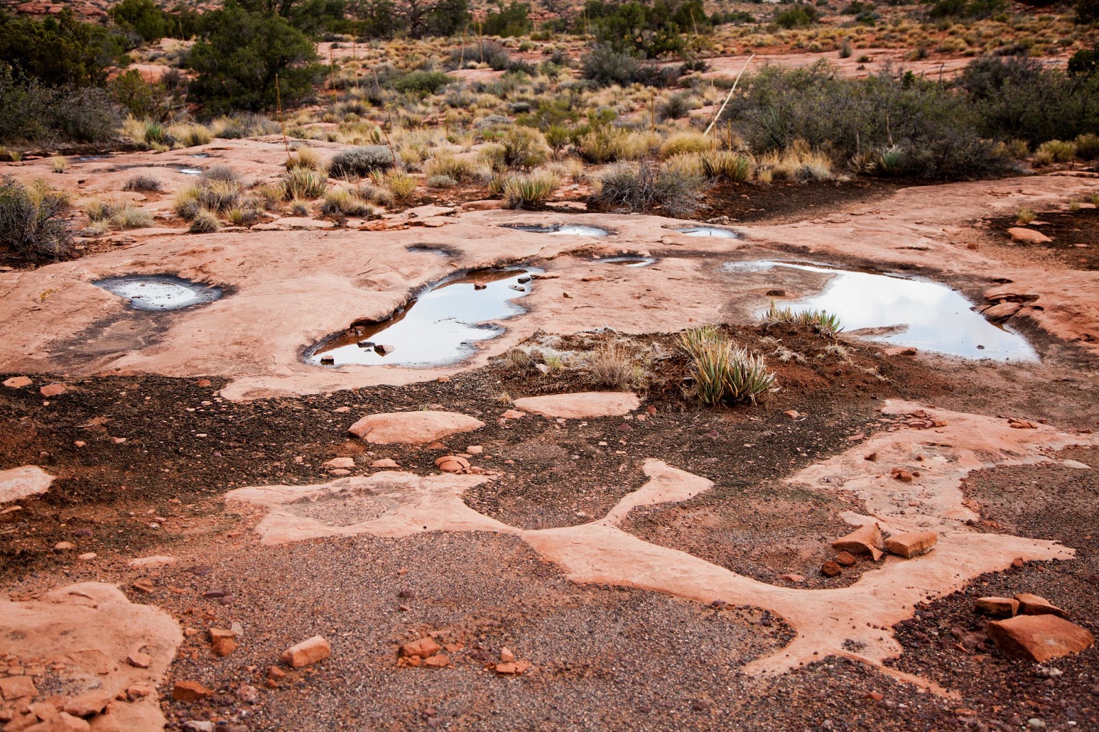 Walking Arizona: Slick Rock Puddle Mirrors