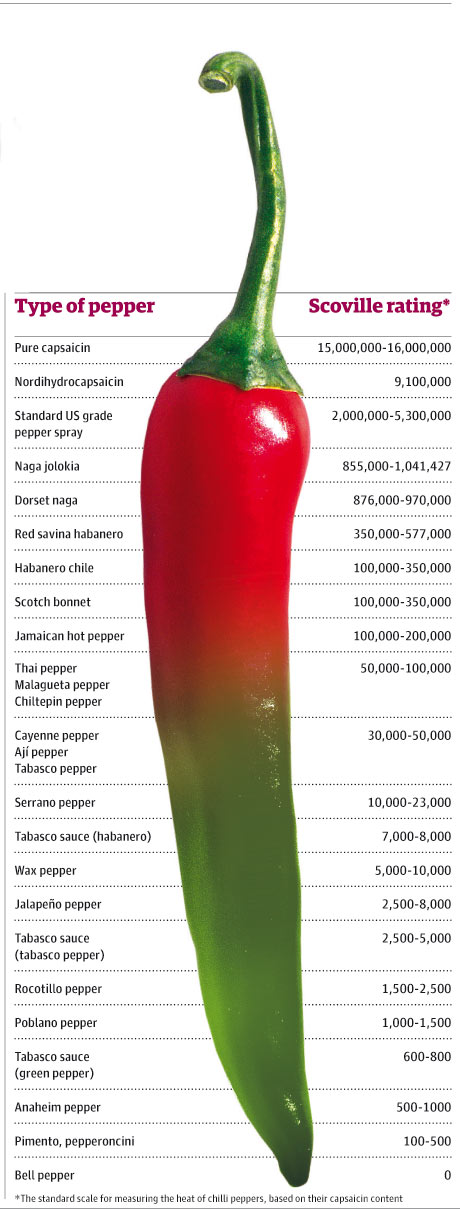 KumoCafe History Of The Chili Pepper kumocafe-history-of-the-chili-pepper