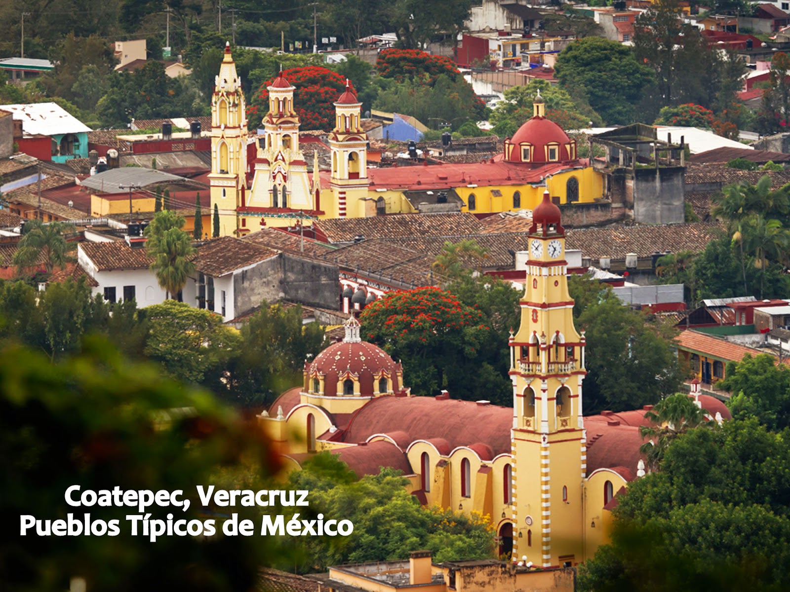 Coatepec, Veracruz