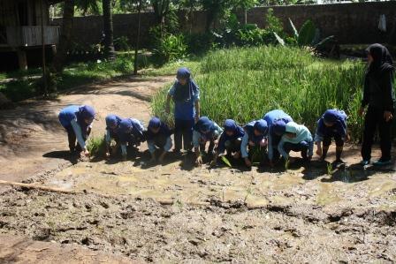 Sampai di sini dulu ya aku cerita tentang Moving Class nya! bye!