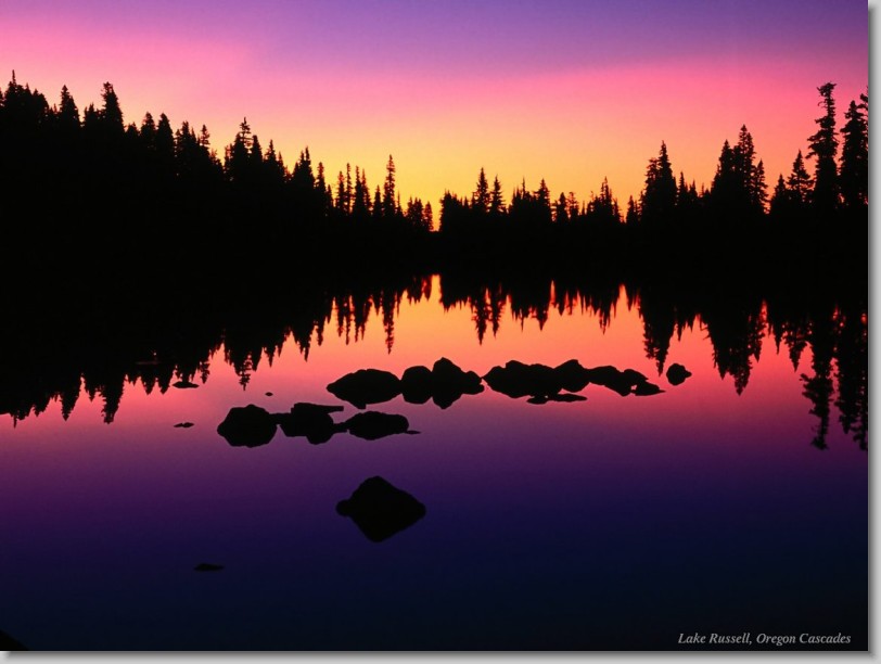 Nature Clicks - Samsung Clicks