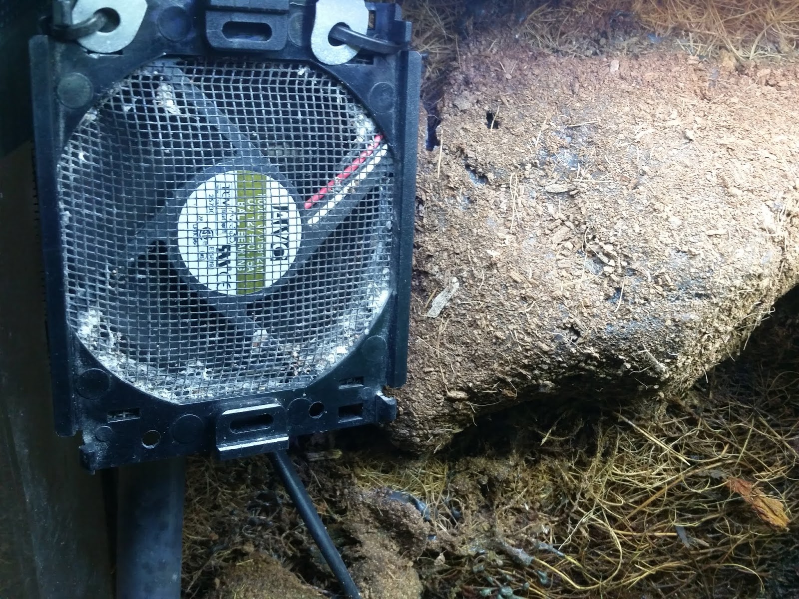 Setting up a Paludarium: Paludarium Tech Stuff