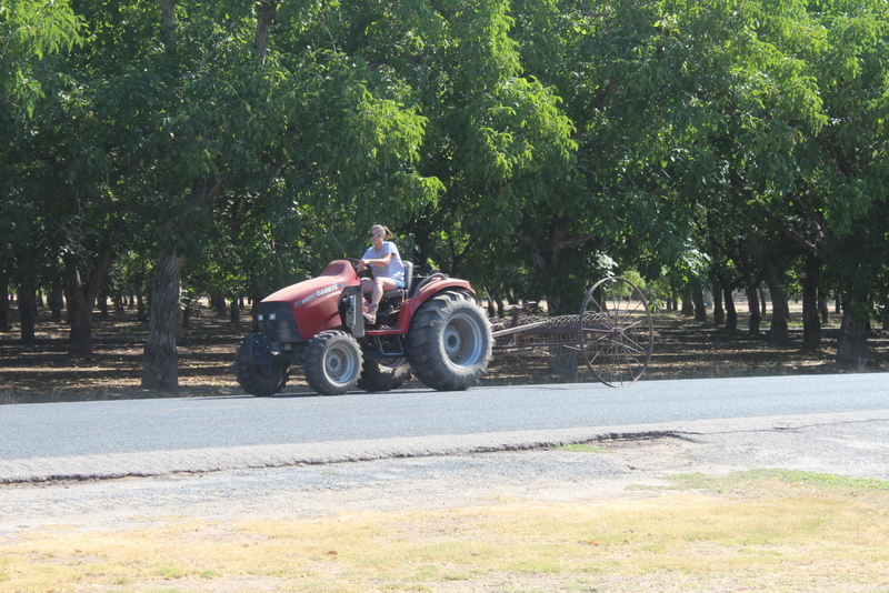 Meanwhile, Back At The Ranch...: Real women drive tractors!!!