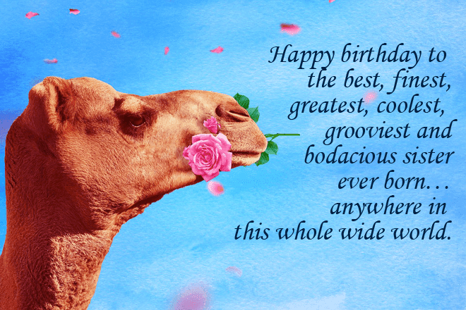 20 Happy Birthday Wishes To My Lovely Sister 2019 QuotesWiser 20-happy-birthday-wishes-to-my-lovely-sister-2019-quoteswiser