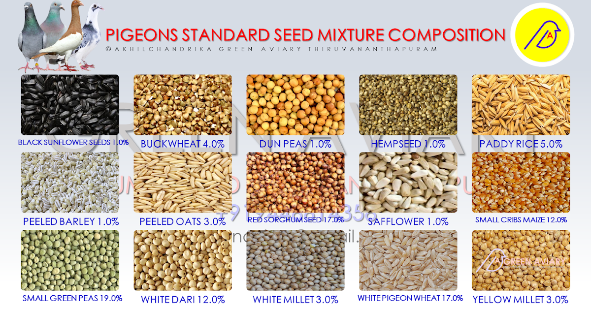 PIGEONS STANDARD SEED MIXTURE COMPOSITION