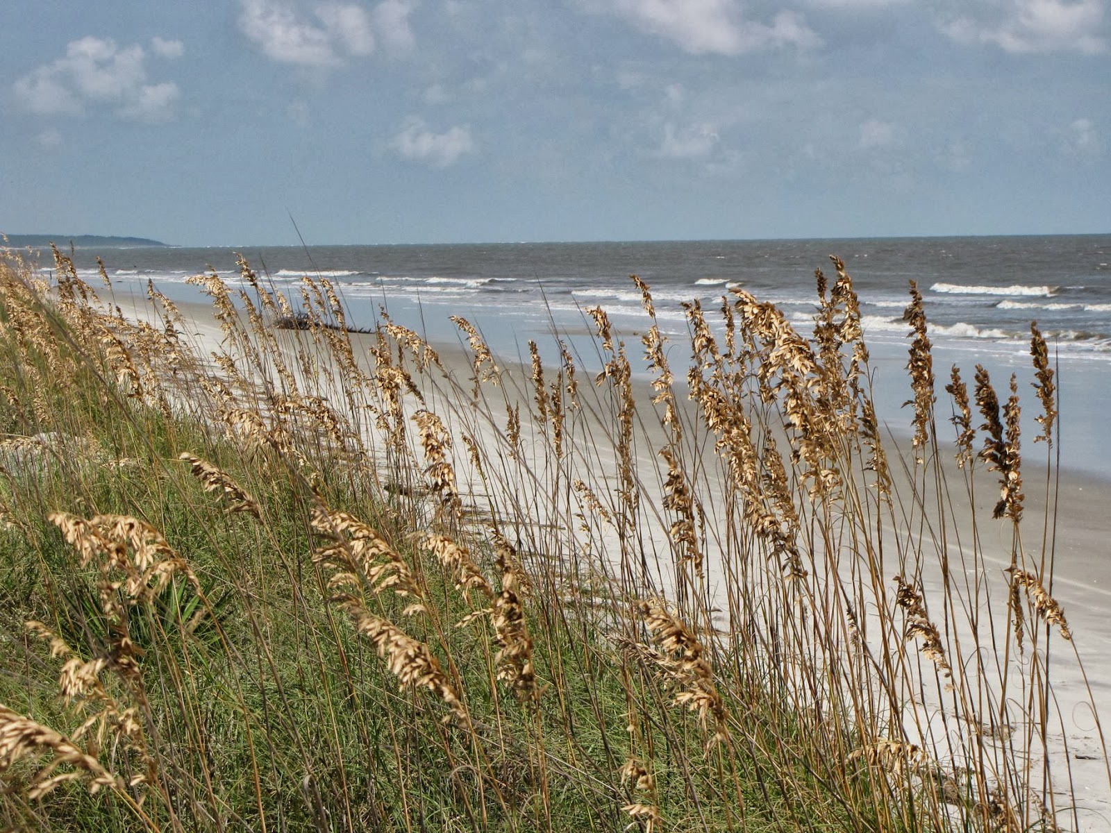 Femme au foyer: Your guide to visiting Sapelo Island
