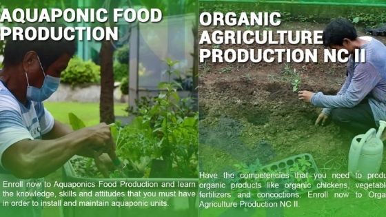 TESDA offers Free agriculture-related courses online ~ WowCordillera