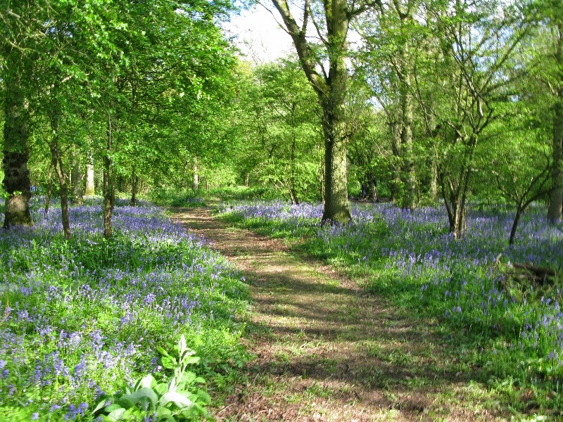 Blacklands Farm, Henfield, West Sussex www.aroundaboutbritain.co.uk ...