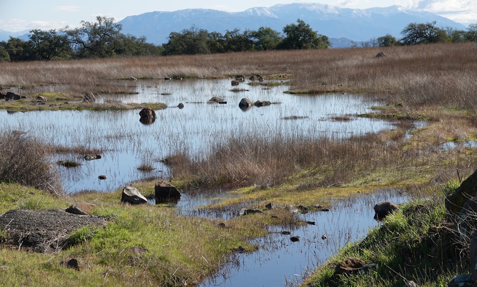Looking for Vernal Pools: Santa Rosa Plateau Pools