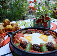 THE VIEW FROM FEZ: Cheb Khaled and Majida Al Roumi to Star at Timitar ...