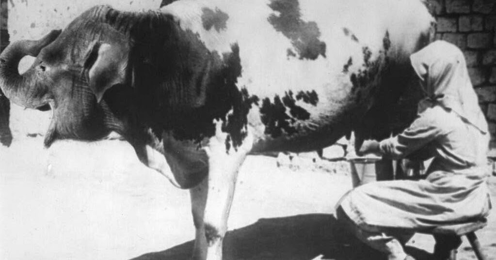 Happy April Fools' Day! ~ Vintage Everyday