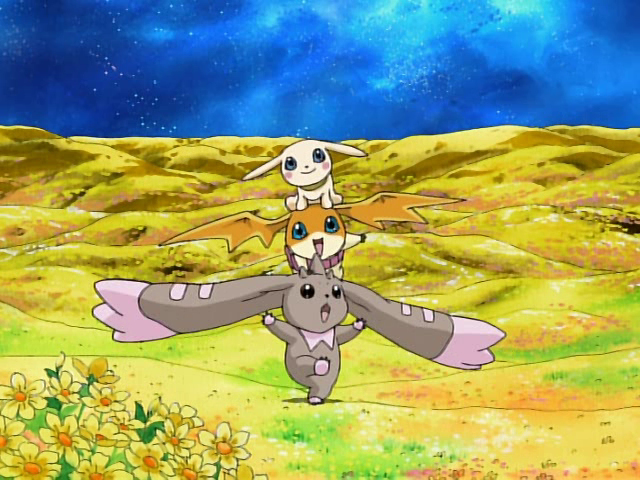 Patamon - Digimon Frontier ~ MEU×DIGIMON