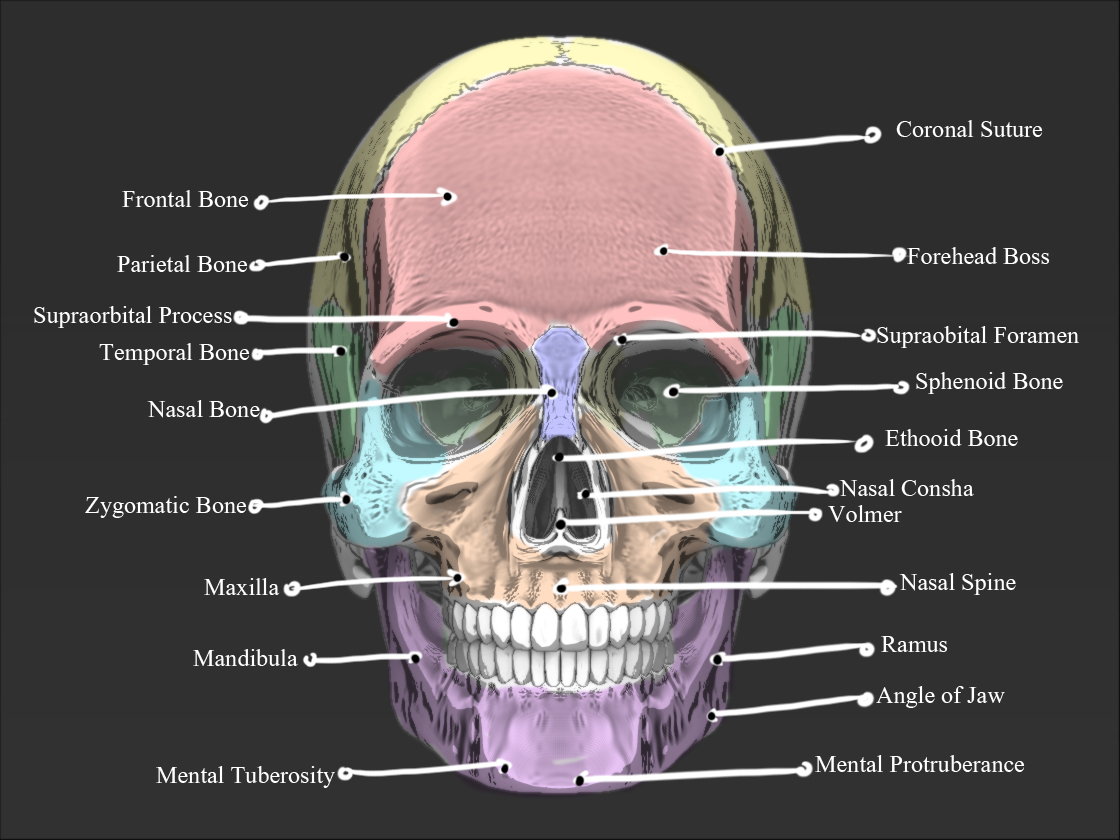 Need your guys help on my character! — polycount