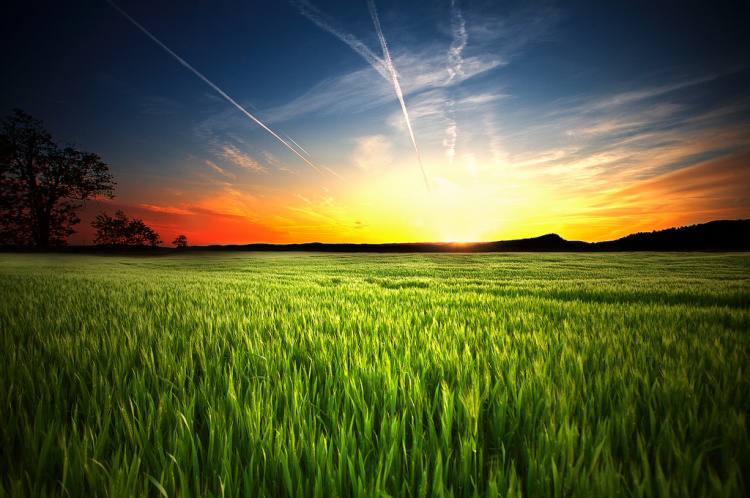 TROCANDO EXPERIÊNCIAS COM A MARIA.: LEIS DE NEWTON- MOVIMENTO, ATRITO E ...