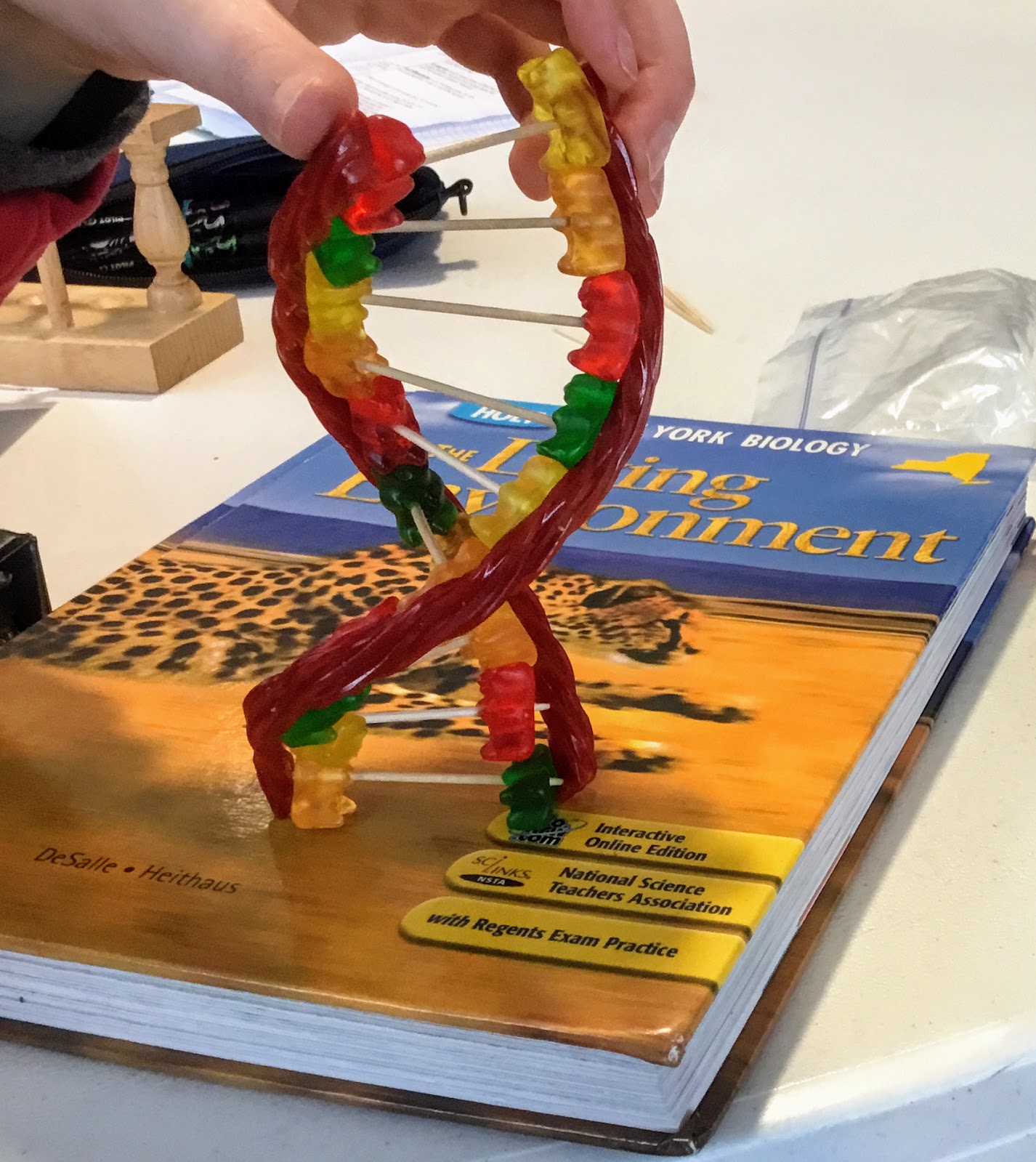 Biology by the Math Mom: Visualizing Real DNA and a Model