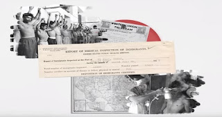 Immigration Referral Information Services: The Dark Gasoline Baths