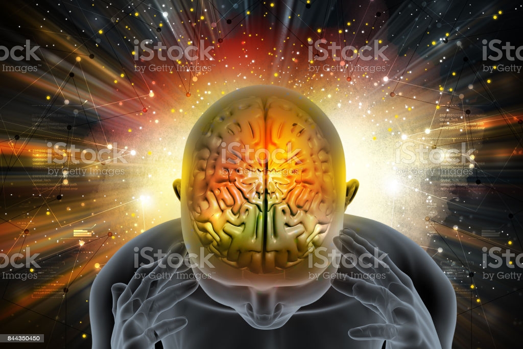 World's amazing facts: Human Brain : Facts , Functions & Anatomy