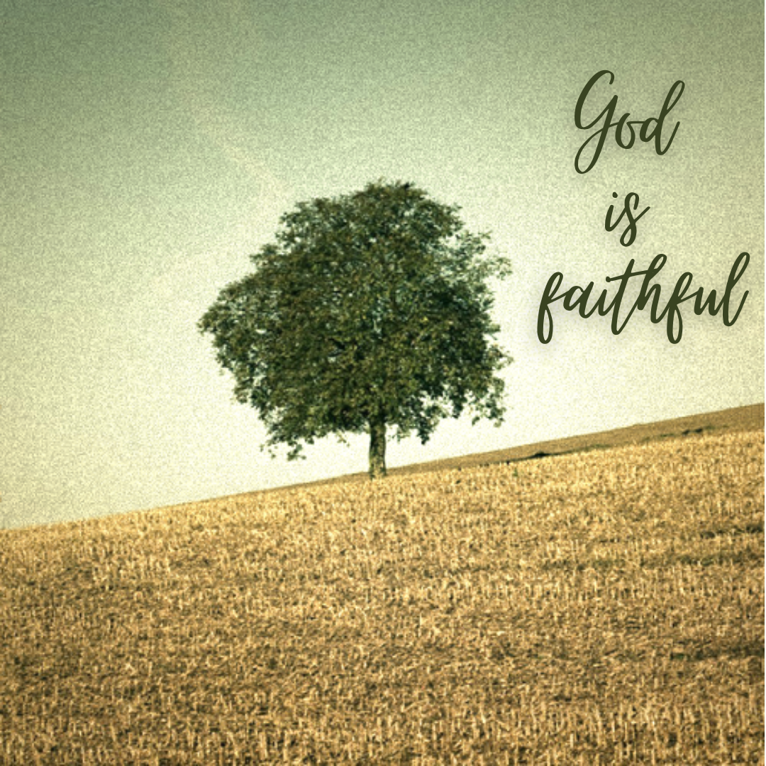 Daily Prayer: for faithfulness Daily Prayer: for faithfulness
