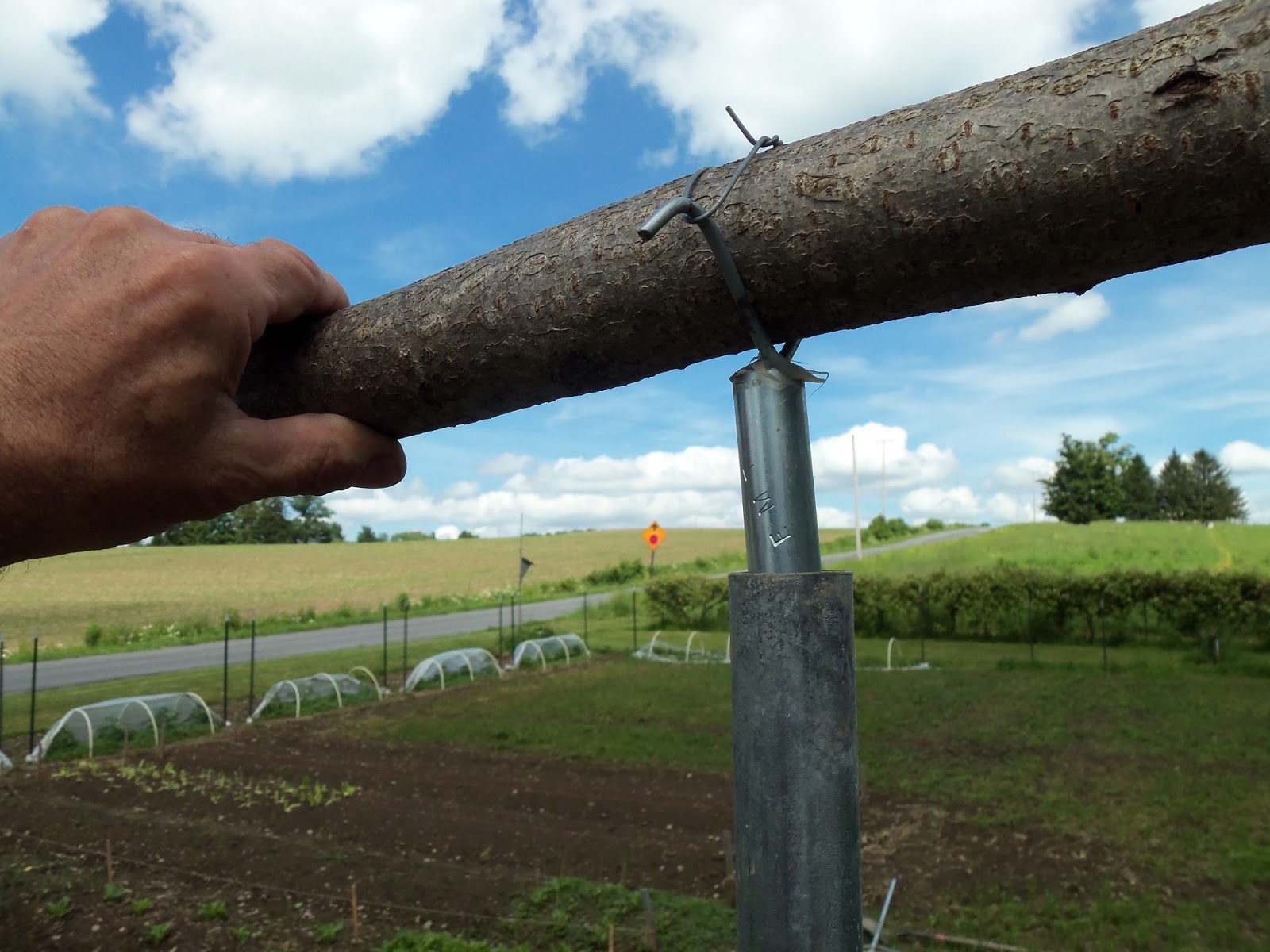 Whizbang Trellis Instruction: How to MakeT-Post Trellis Spans