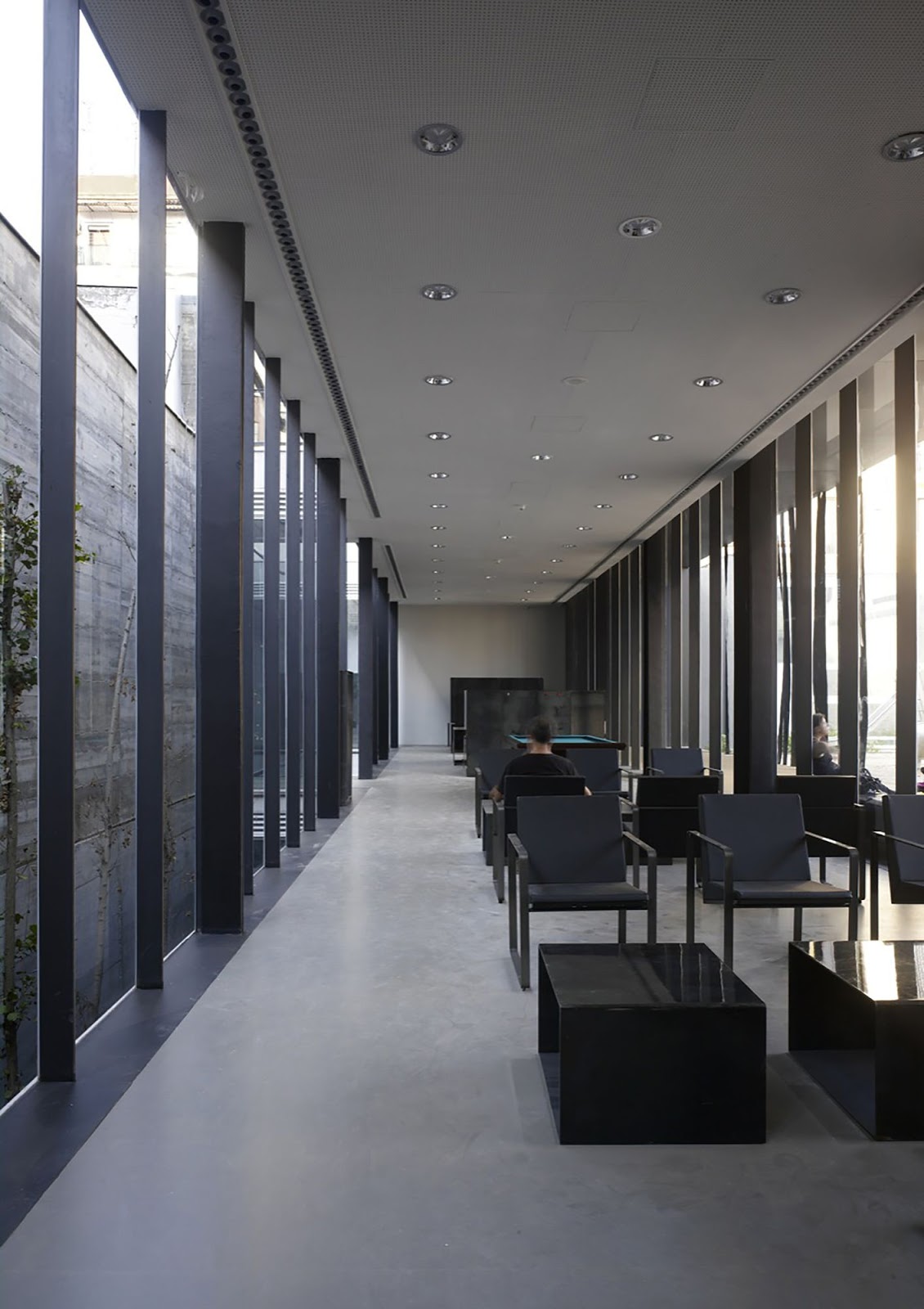 RCR Arquitectes – a f a s i a