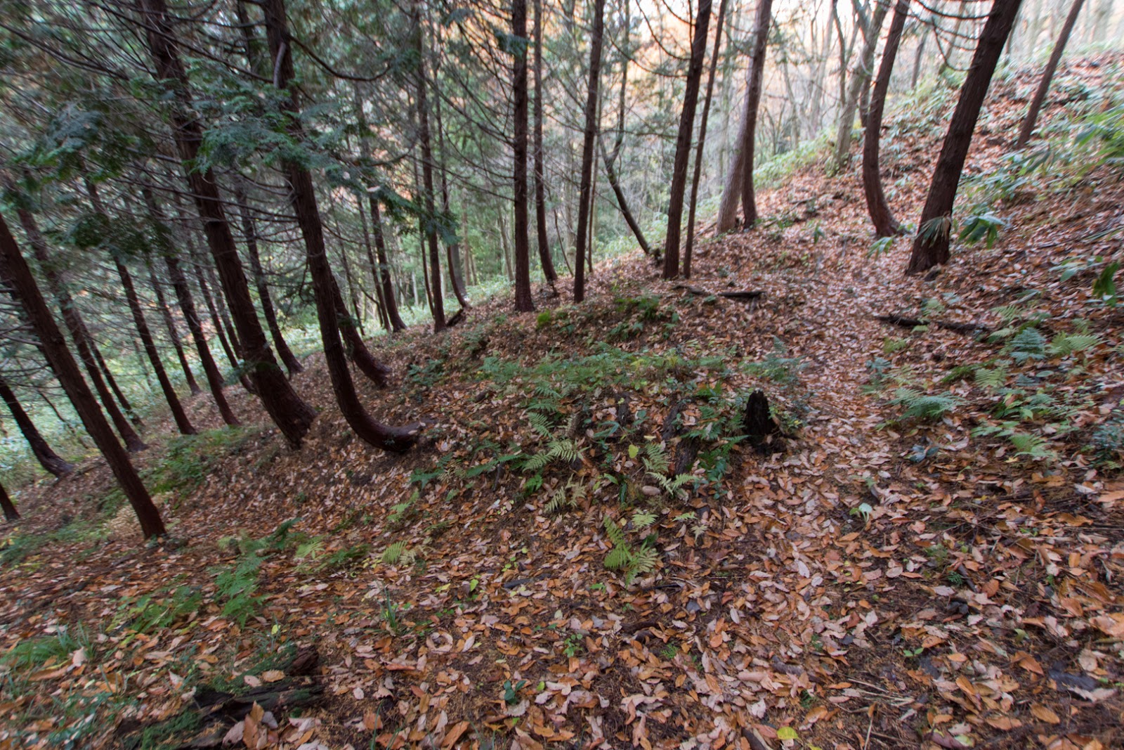 Obasawa Castle -Numerous dry moat defense line toward strong relative ...