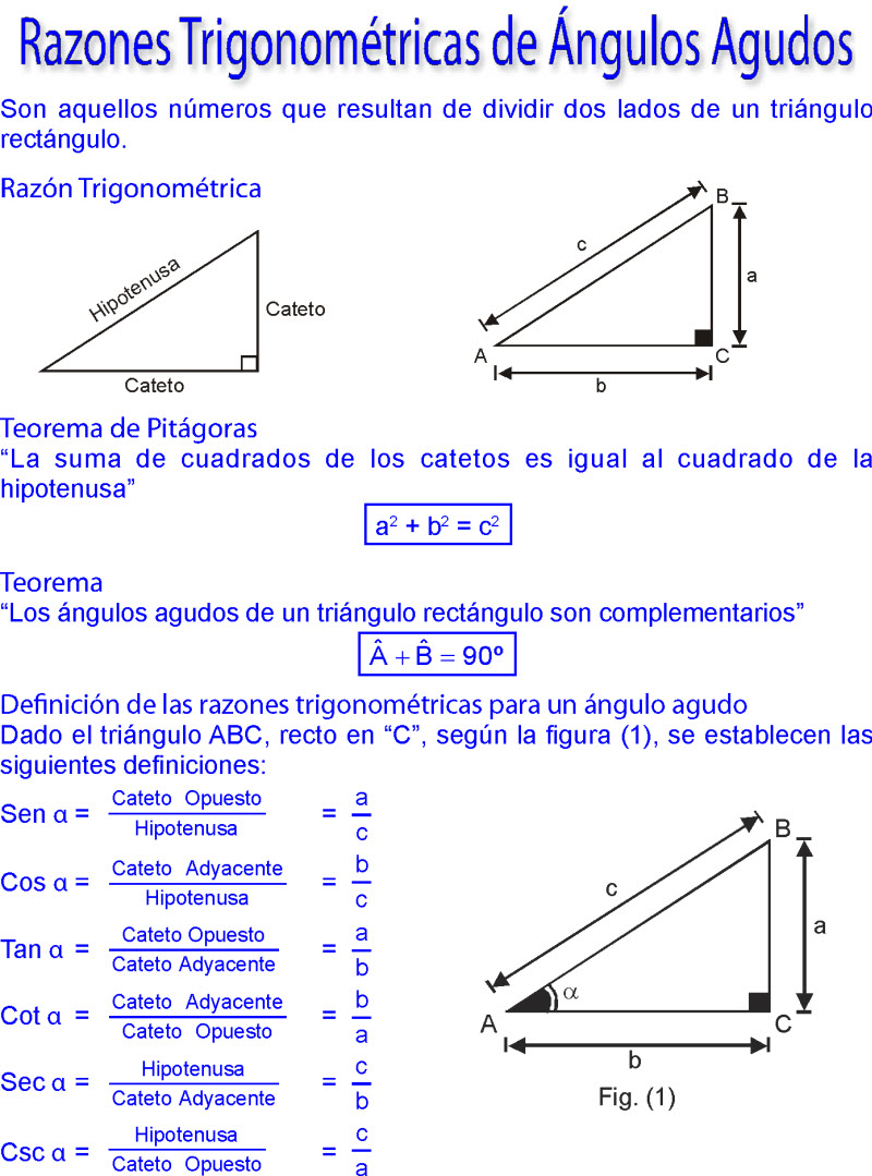 Razones Trigonométricas De Ángulos Agudos Explicaciones Y Ejercicios