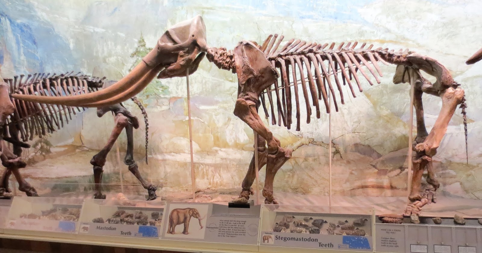 Equatorial Minnesota: National Park Service proboscideans revisited